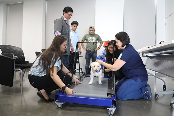 Universidad Don Bosco © | Reportaje